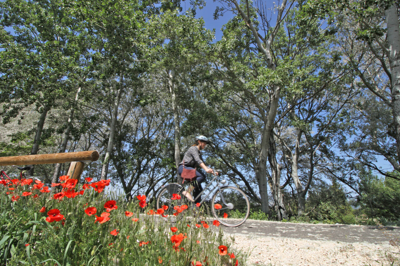 Provence à vélo | Camping la montagne